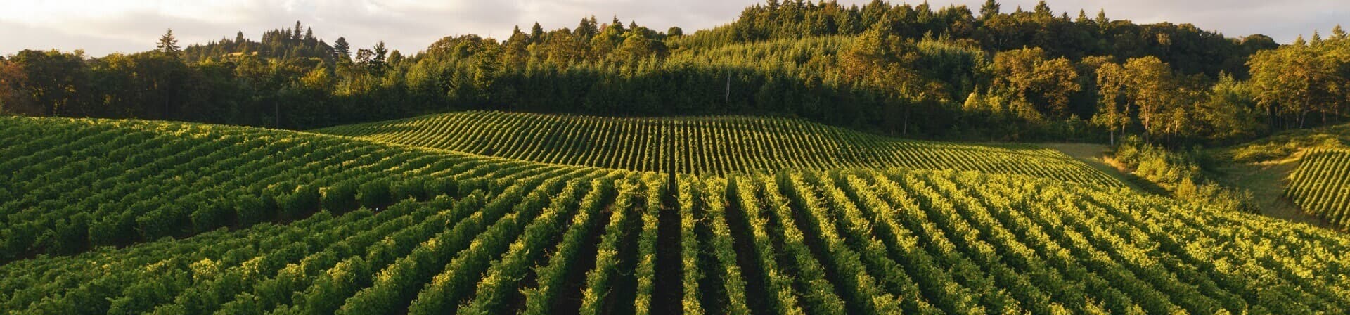 International Land For Sale - Buy Property Acreage, Ranches & Farms