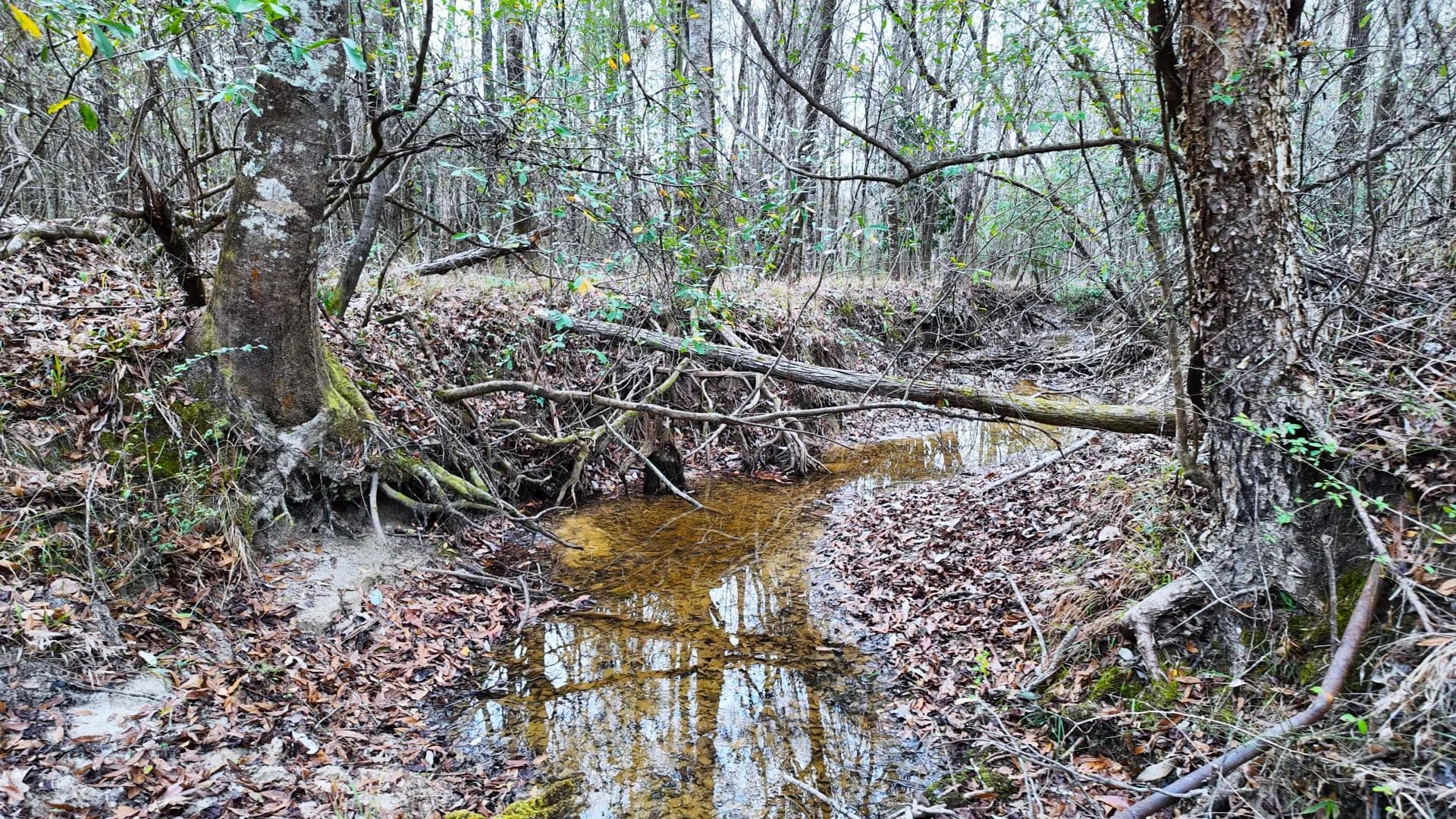 92.05 Acres in Crenshaw County, AL - Acreage in Alabama, Crenshaw ...