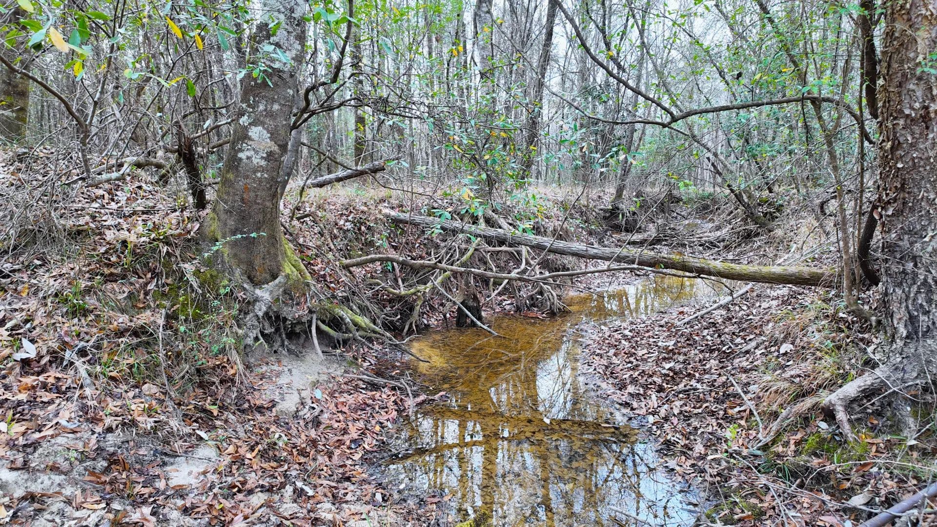 92.05 Acres in Crenshaw County, AL - Acreage in Alabama, Crenshaw ...